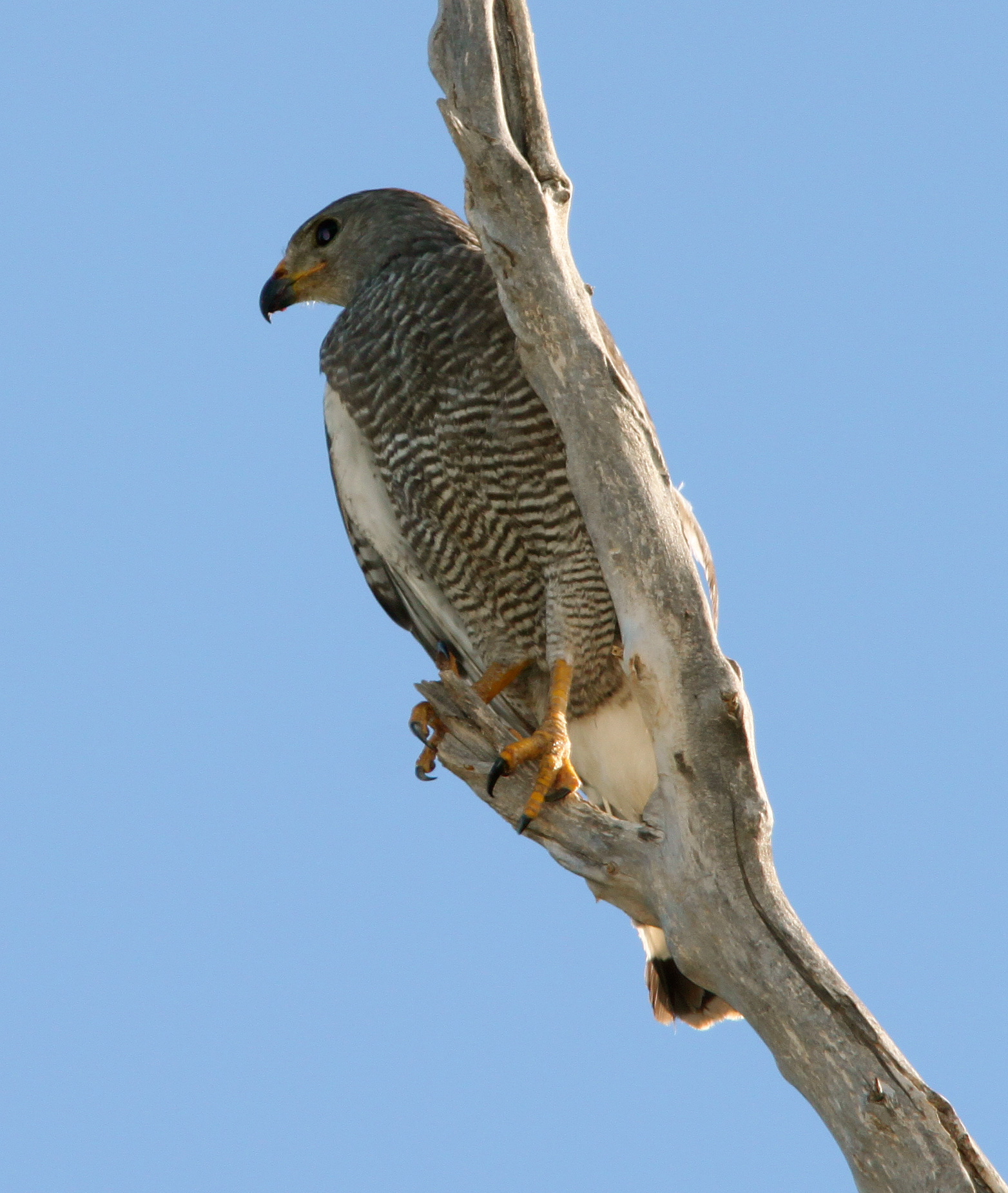 Ravens-way Locations « Ravens-Way Wild Journeys